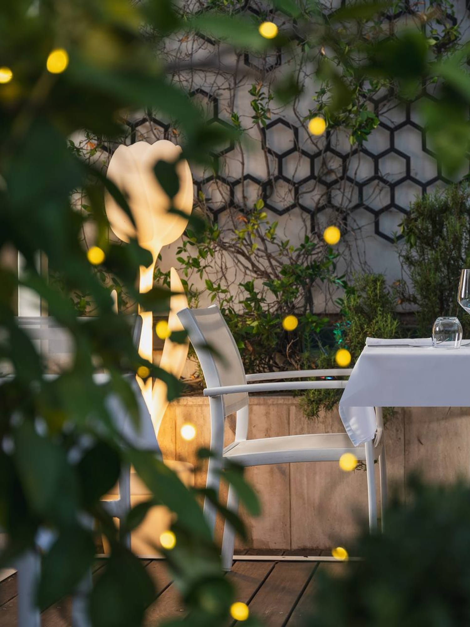 La Fata Ignorante | Creative restaurant on the iQ Hotel Roma rooftop